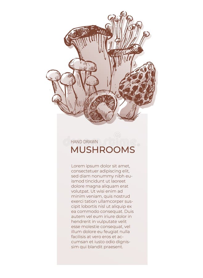 Mushrooms Design Elements, Vertical Stock Vector - Illustration of ...