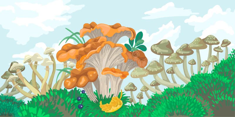 Mycelium Vector Stock Illustrations – 1,527 Mycelium Vector Stock ...