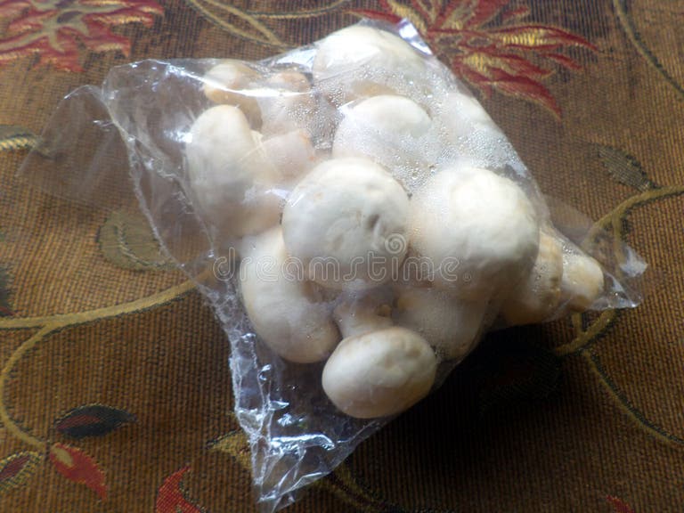 Mushrooms stock image. Image of edible, food, nutritious - 84930671