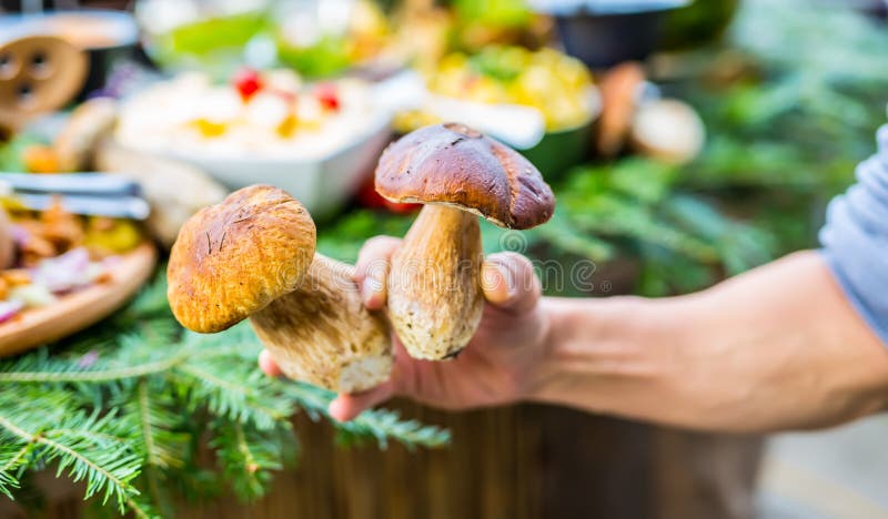 Mushrooms. Freshly Mushrooms in Hand Stock Image - Image of culinary ...