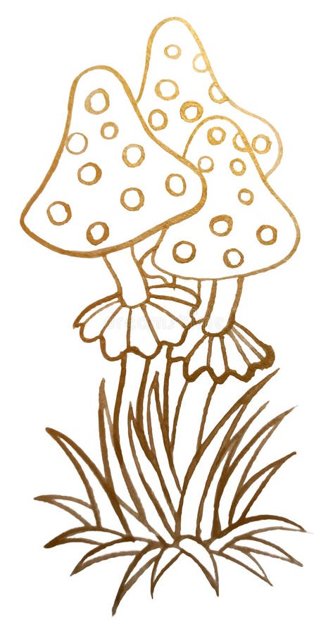 Mushrooms, Line Drawing, Magic Items, Fly Agaric. Stock Vector ...