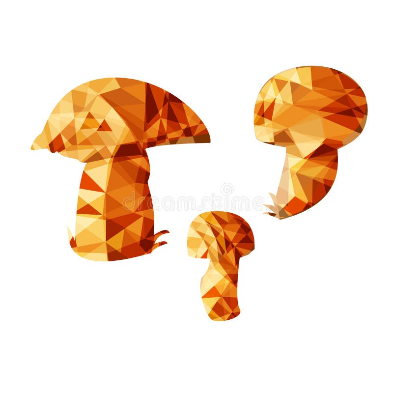 Triangle Boletus Stock Illustrations – 8 Triangle Boletus Stock ...
