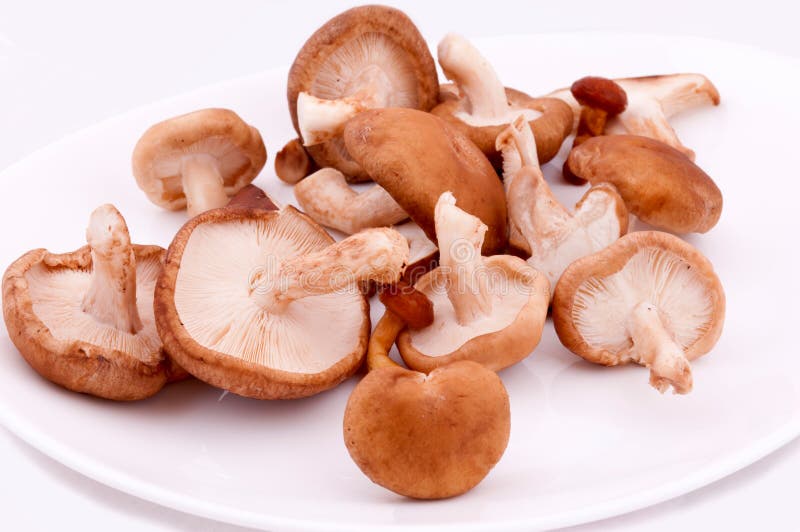 Edible Mushroom Mix stock photo. Image of food, isolated - 76745594