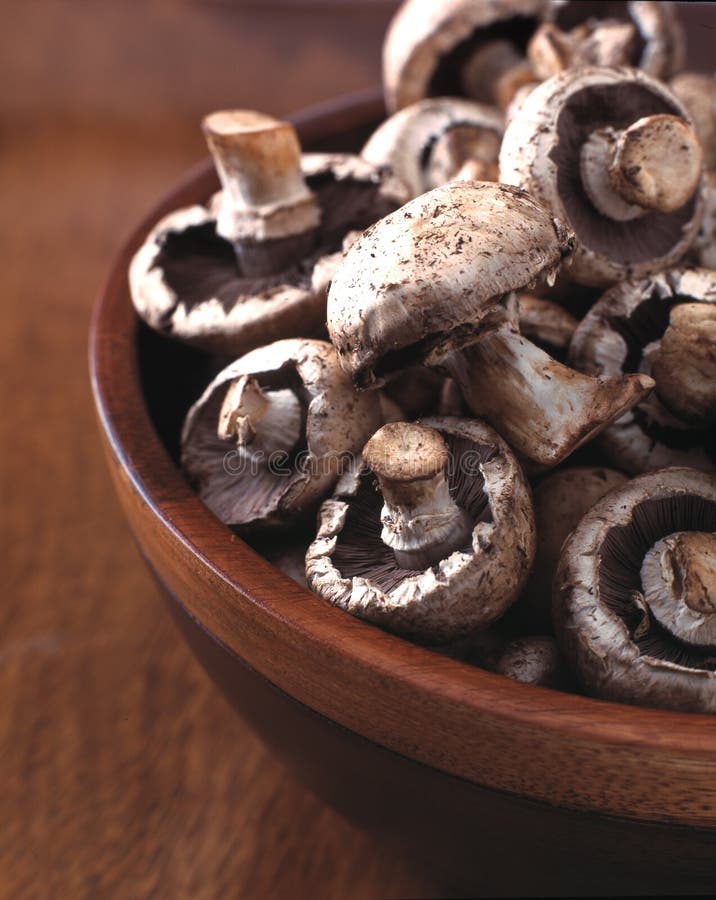 Mushrooms Portabellas in a Bowl Stock Photo - Image of bunch, bowl: 1973808