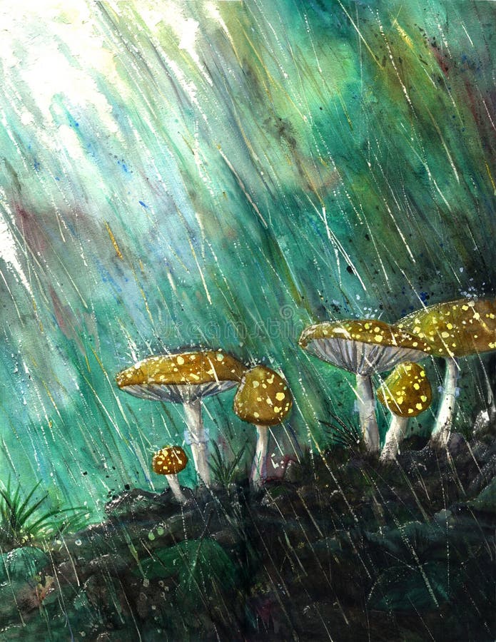 Mushrooms in the Rain stock illustration. Illustration of botanical ...
