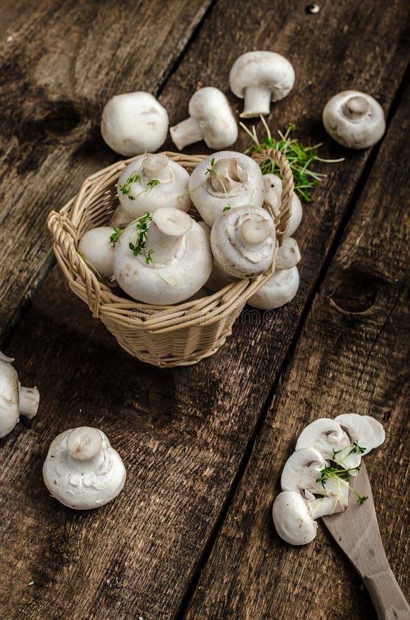 Mushrooms Raw, Fresh and Bio Stock Image - Image of mushroom, fungus ...