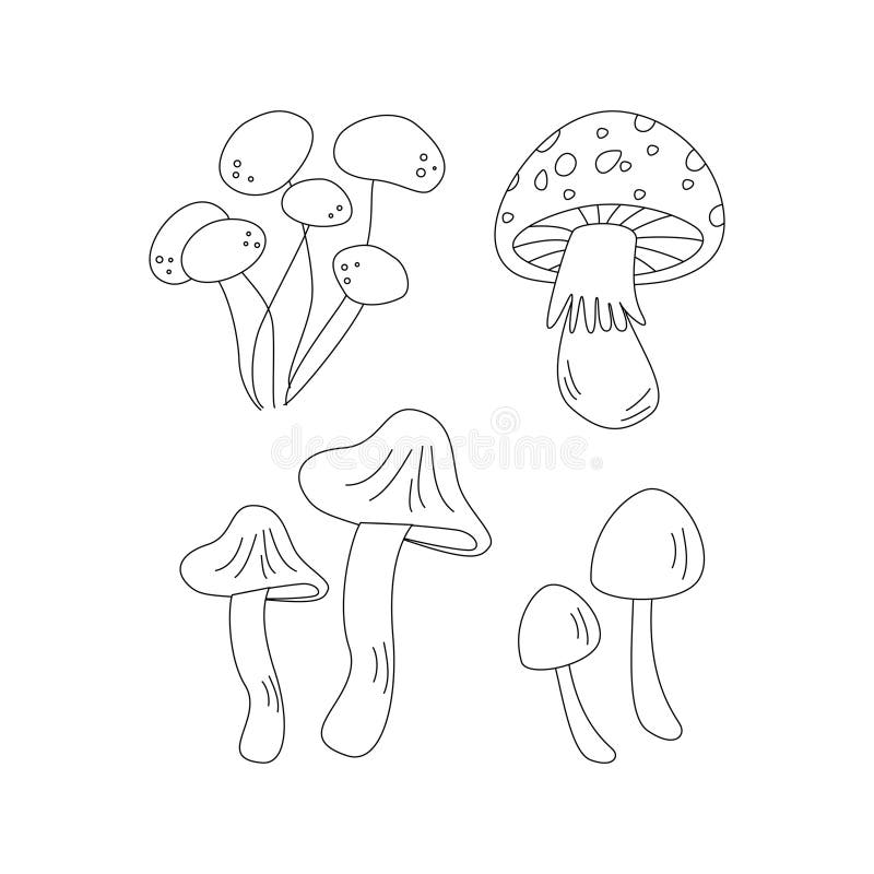 Flat Toadstool Stock Illustrations – 1,542 Flat Toadstool Stock ...