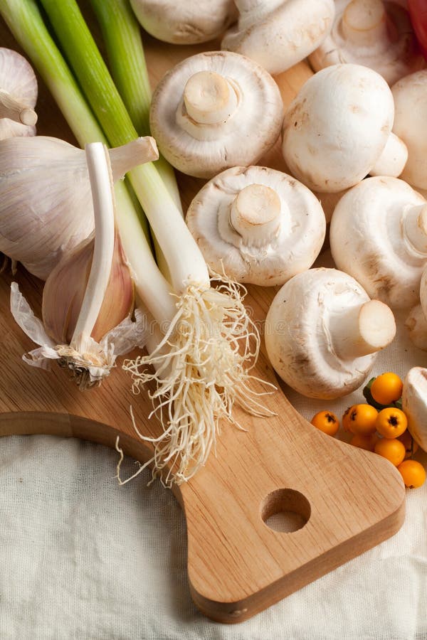 Mushrooms and vegetable stock photo. Image of nutrition - 21745594