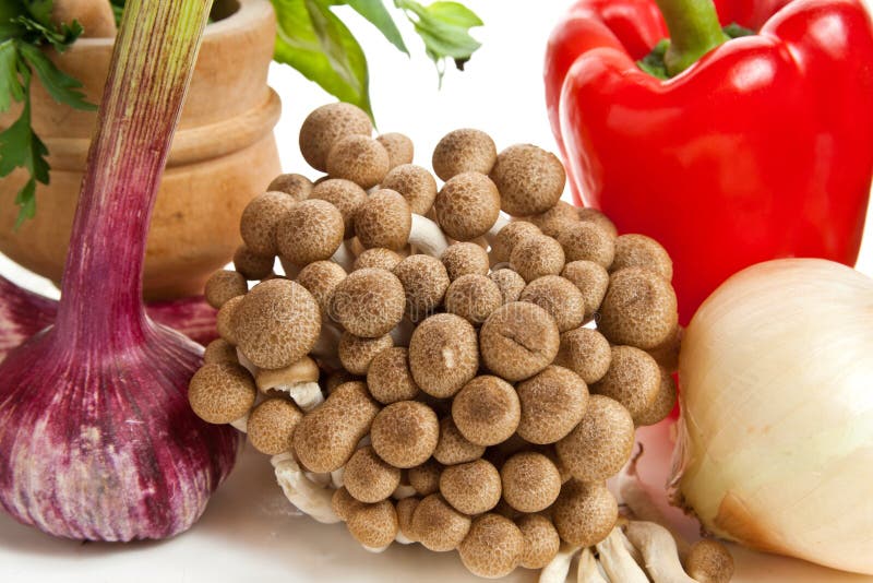 Mushrooms and vegetables stock photo. Image of leaf, ingredient - 25946618