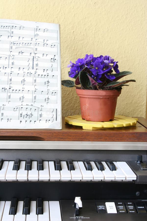 Music and flowers stock image. Image of piano, pianist - 870097