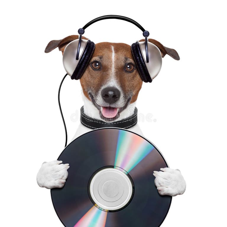Music headphone cd dog stock image. Image of headset - 27178929
