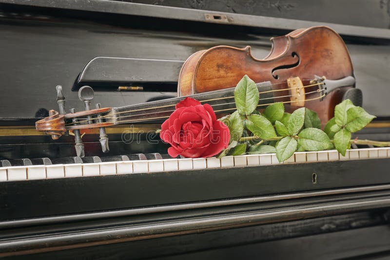 Music Instrument Composition Stock Image - Image of play, anniversary ...