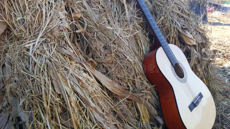 Music Instrument Guitar Leaning on the Haystack Stock Photo - Image of ...