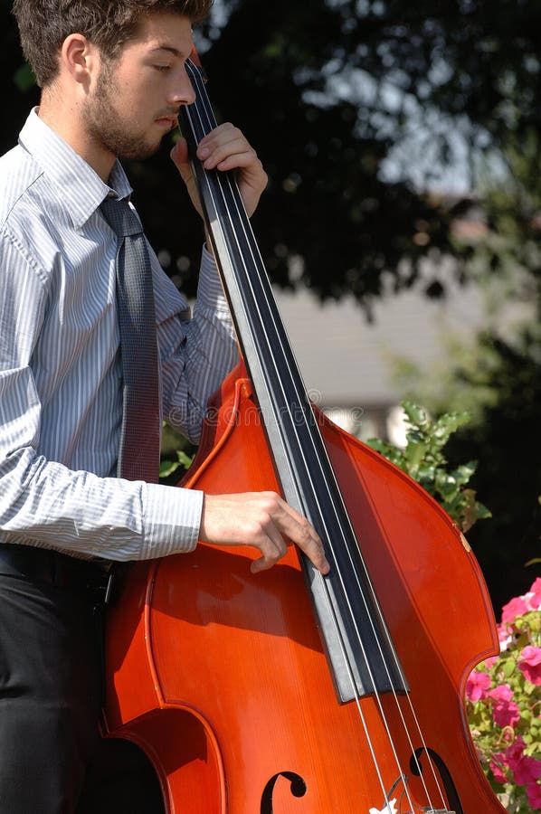 Music man 1 stock image. Image of tunes, jazzy, strings - 1219703