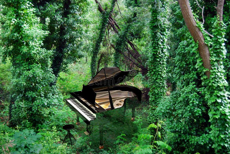 Music and nature stock illustration. Illustration of notes - 14785351