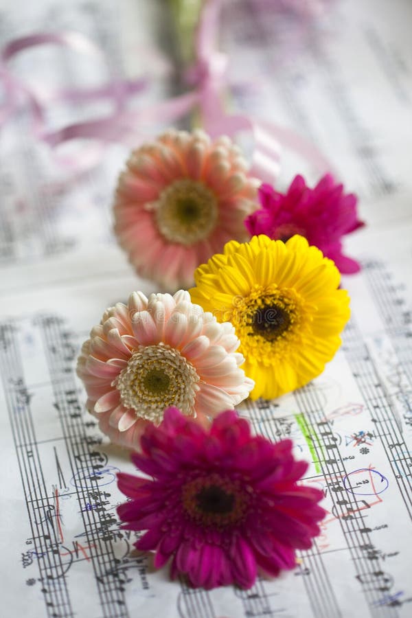 Music note stock image. Image of score, pink, partitur - 30609671