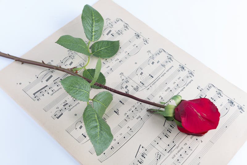 Music and rose stock image. Image of melody, musical - 56918727