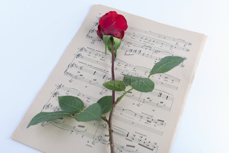 Music and rose stock image. Image of notes, score, melody - 56918741