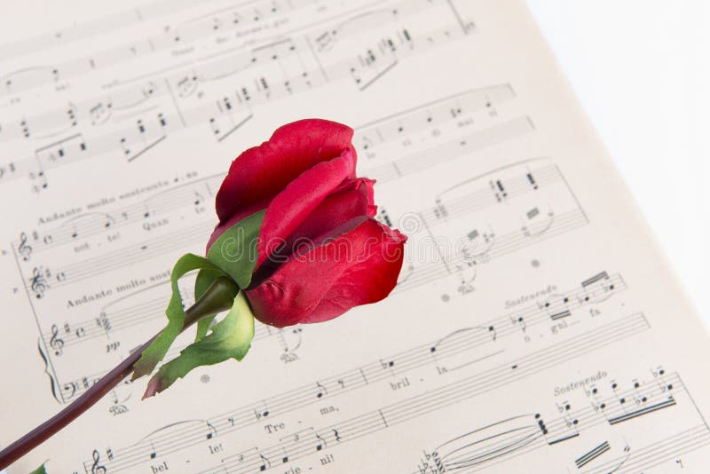 Music and rose stock photo. Image of classic, music, petal - 56918754