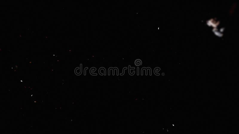 Music Show Audience Above Editorial Stock Footage - Video of live ...