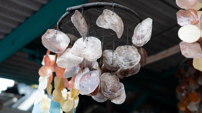 Seashells on a Handmade Paper Stock Photo - Image of oceanside, nature ...