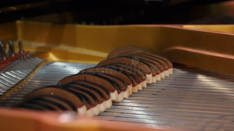 Musical Instrument Abstract: Piano and Piano Strings. Playing the Piano ...
