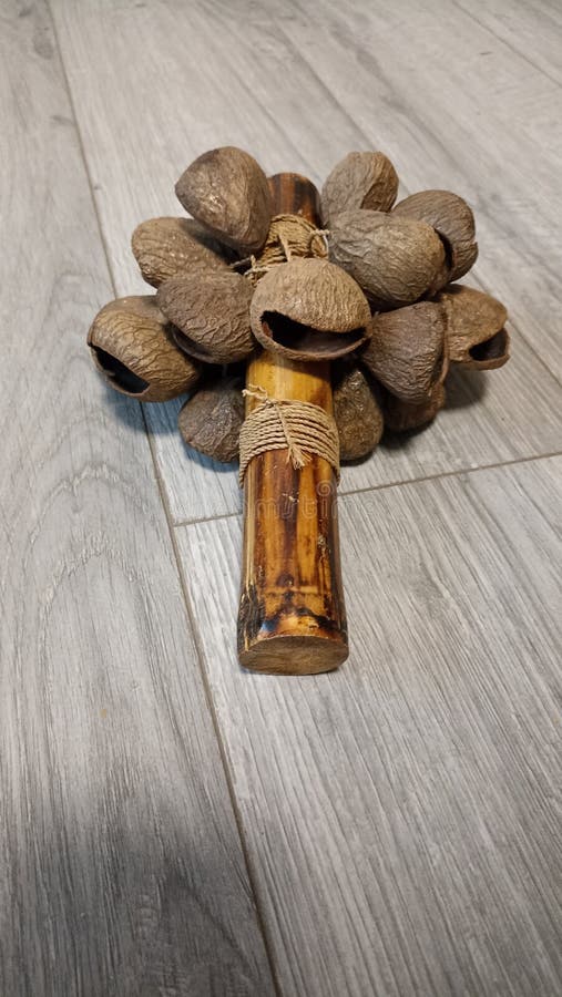 Musical Instrument Nut Shaker Stock Photo - Image of produce ...