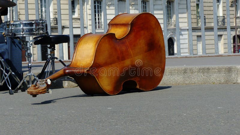 Musical Instrument, Violin Family, String Instrument, Tololoche Picture ...