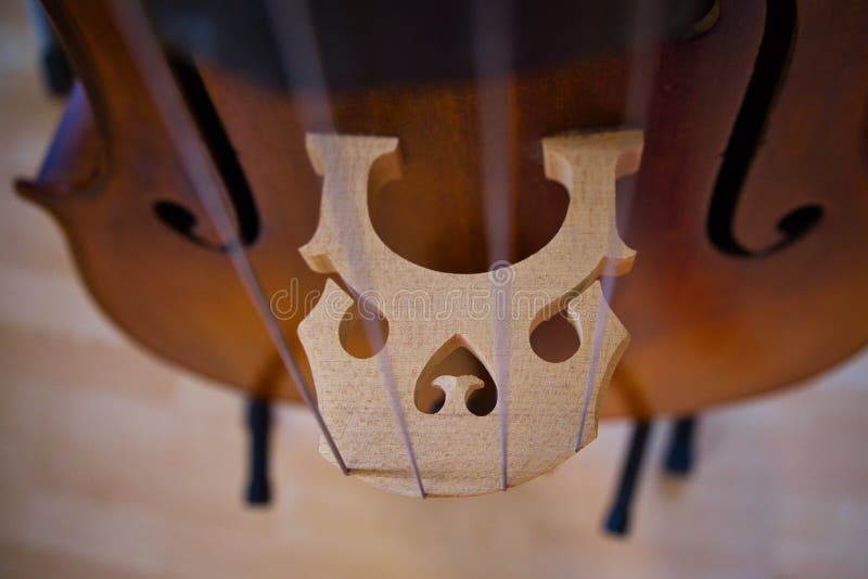 Musical Instruments in Creative Angles Stock Photo - Image of circle ...