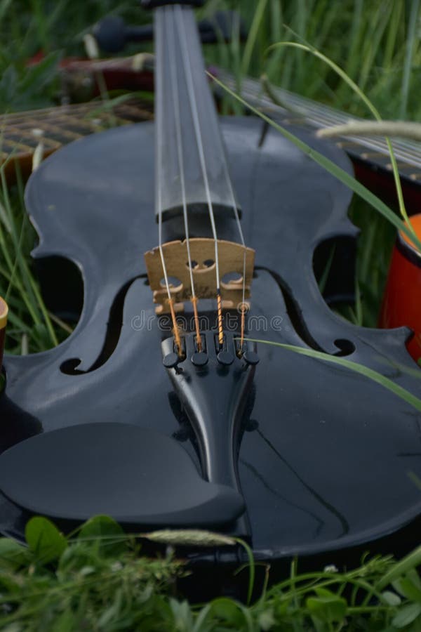 Musical Instruments on the Grass, Stock Photo - Image of artistic ...