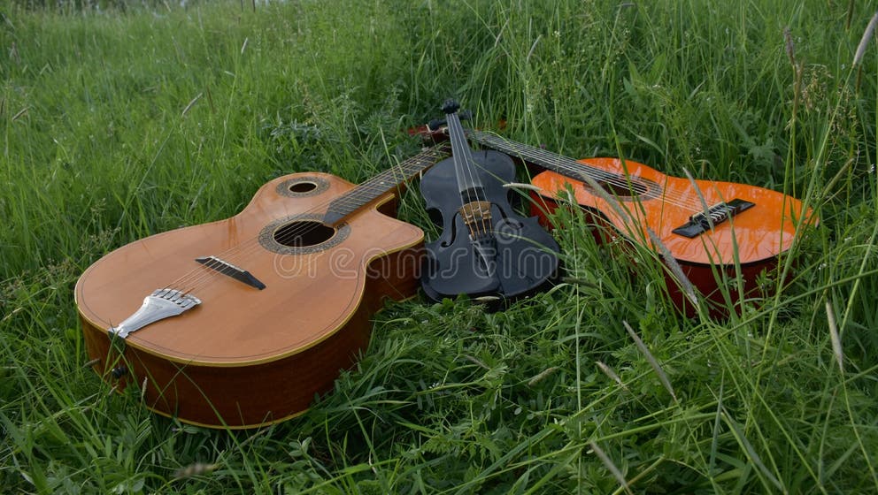 Musical Instruments on the Grass, Stock Image - Image of leisure ...