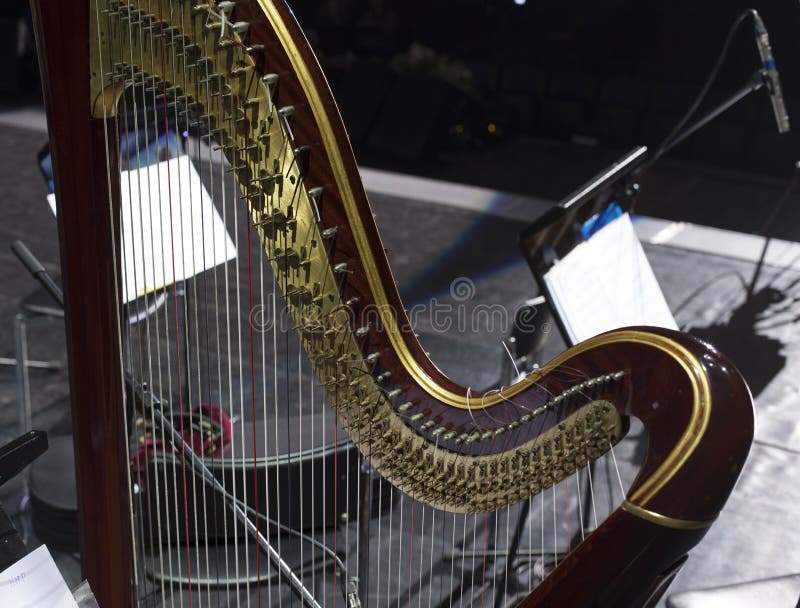 Musical instruments. stock photo. Image of silhouette - 68790514