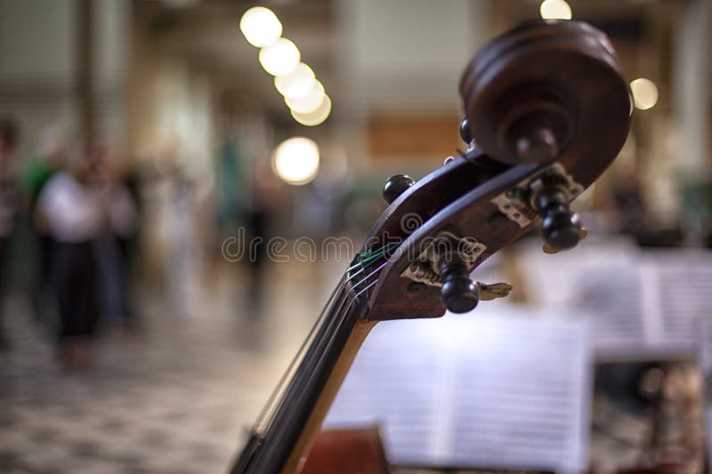 Cellos and Violas at Rest before the Concert Stock Image - Image of ...