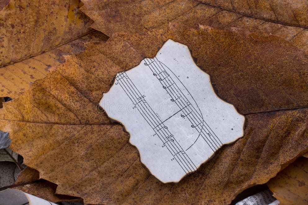 Musical Notes on Burnt Paper Placed Leaf Stock Photo - Image of sound ...