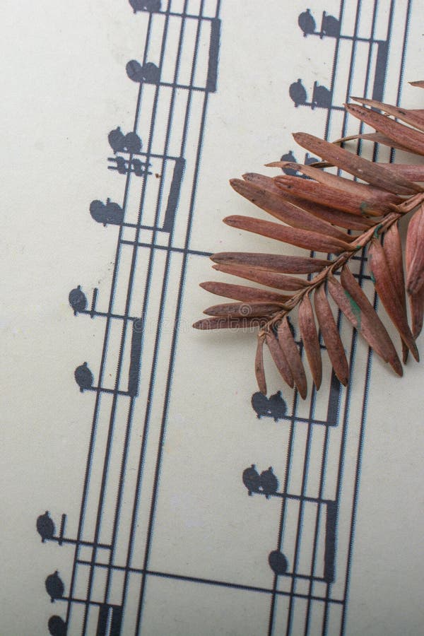 Musical Notes on a Burnt Paper and a Model Globe Stock Photo - Image of ...