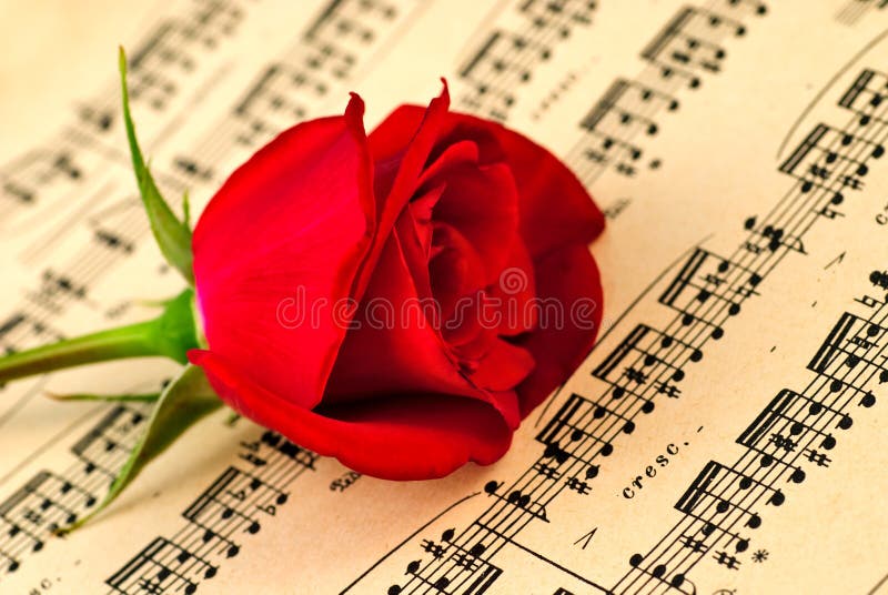 Musical notes and red rose stock image. Image of love - 14926967