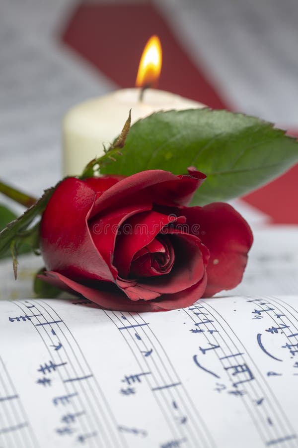 Musical notes and red rose stock photo. Image of melody - 298065568