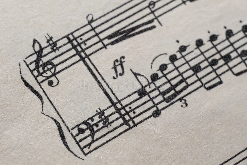 Musical stave at garden stock photo. Image of note, musical - 22157566