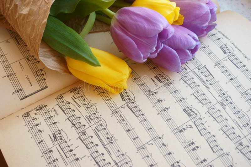 Musical Notes and Tulip Flowers, Bouquet Stock Photo - Image of color ...