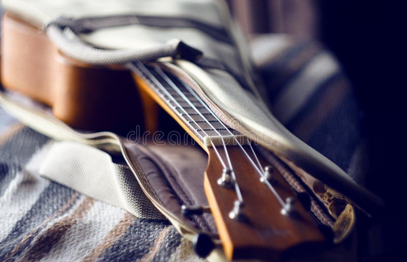 Musical Stringed Instruments Stock Image - Image of festival, angle ...