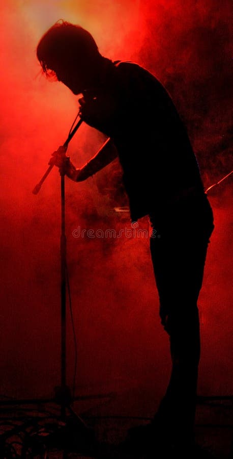 Musician stock photo. Image of performing, artist, vocalist - 21413898