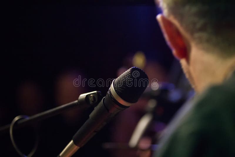 Musician and Microphone at Rock-concert Stock Photo - Image of festival ...