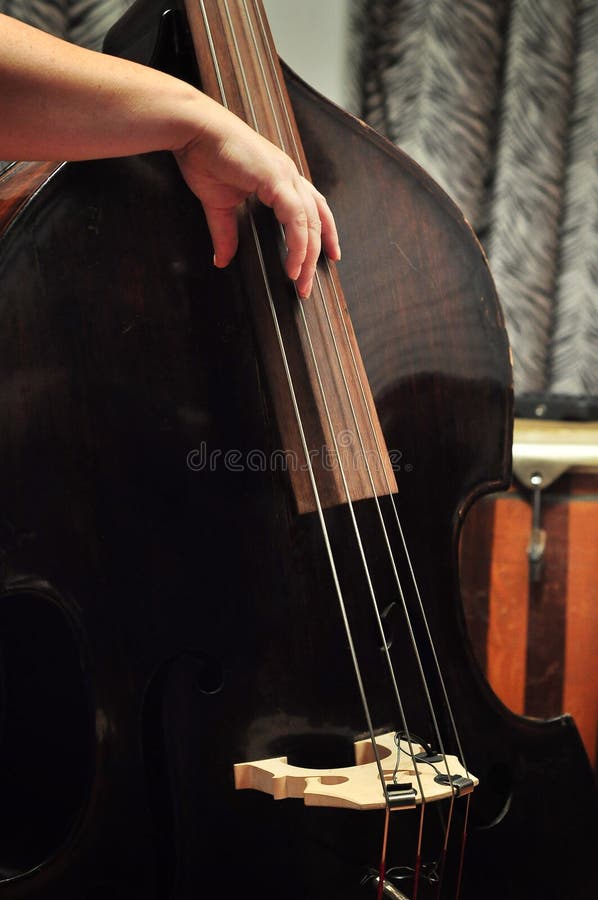 Musician playing cello stock image. Image of cellist - 63909049
