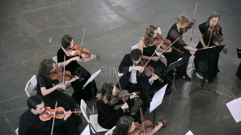 Conductor of Classical Orchestra, Symphonic Orchestra, Music Director ...