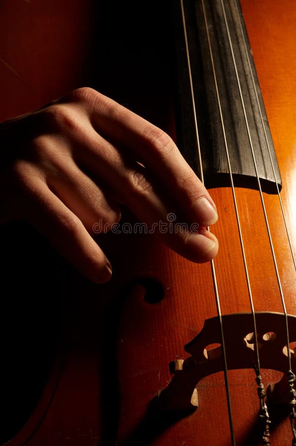 Double Bass stock image. Image of bass, stringed, orchestra - 10712687