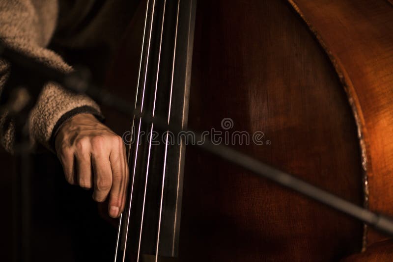 Musician Playing String Instrument in Rustic Environment Stock Image ...