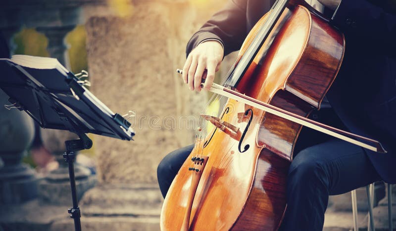 The Musician Plays the Cello Stock Photo - Image of cello, performance ...