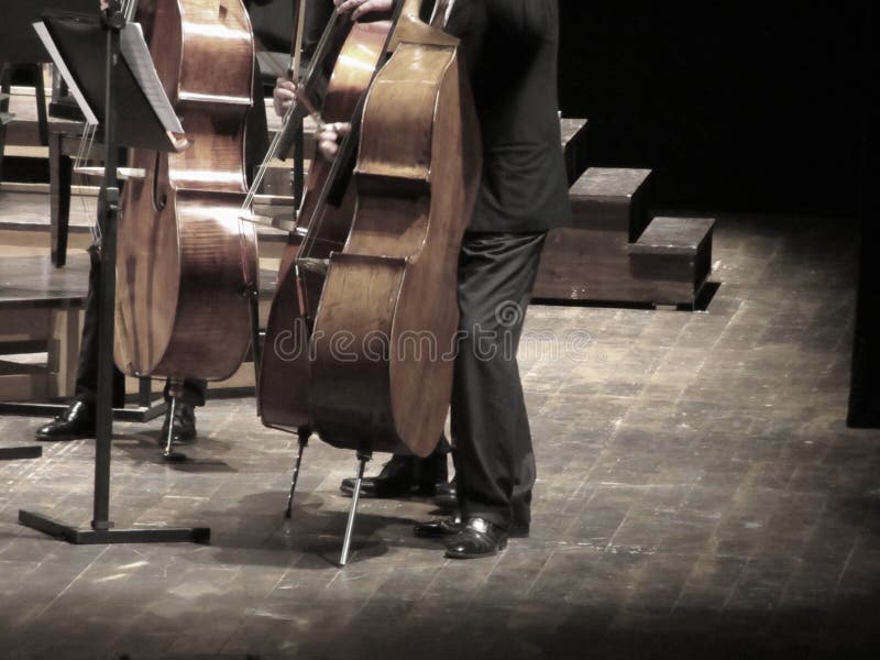 Musicians Playing Cello Music Instruments on Stage in Concert Hall ...