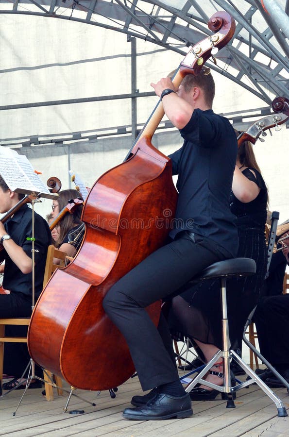 Musiker, Der Contrabass Spielt Stockfoto - Bild von ausführender, kunst ...