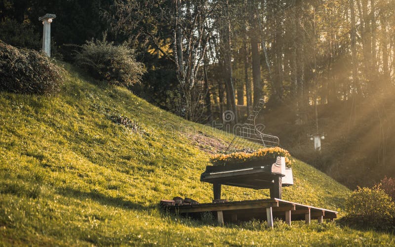 Musique dans la nature image stock. Image du note, caucasien - 19650651